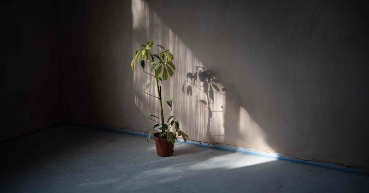 Hereford College of Arts | MA Photography